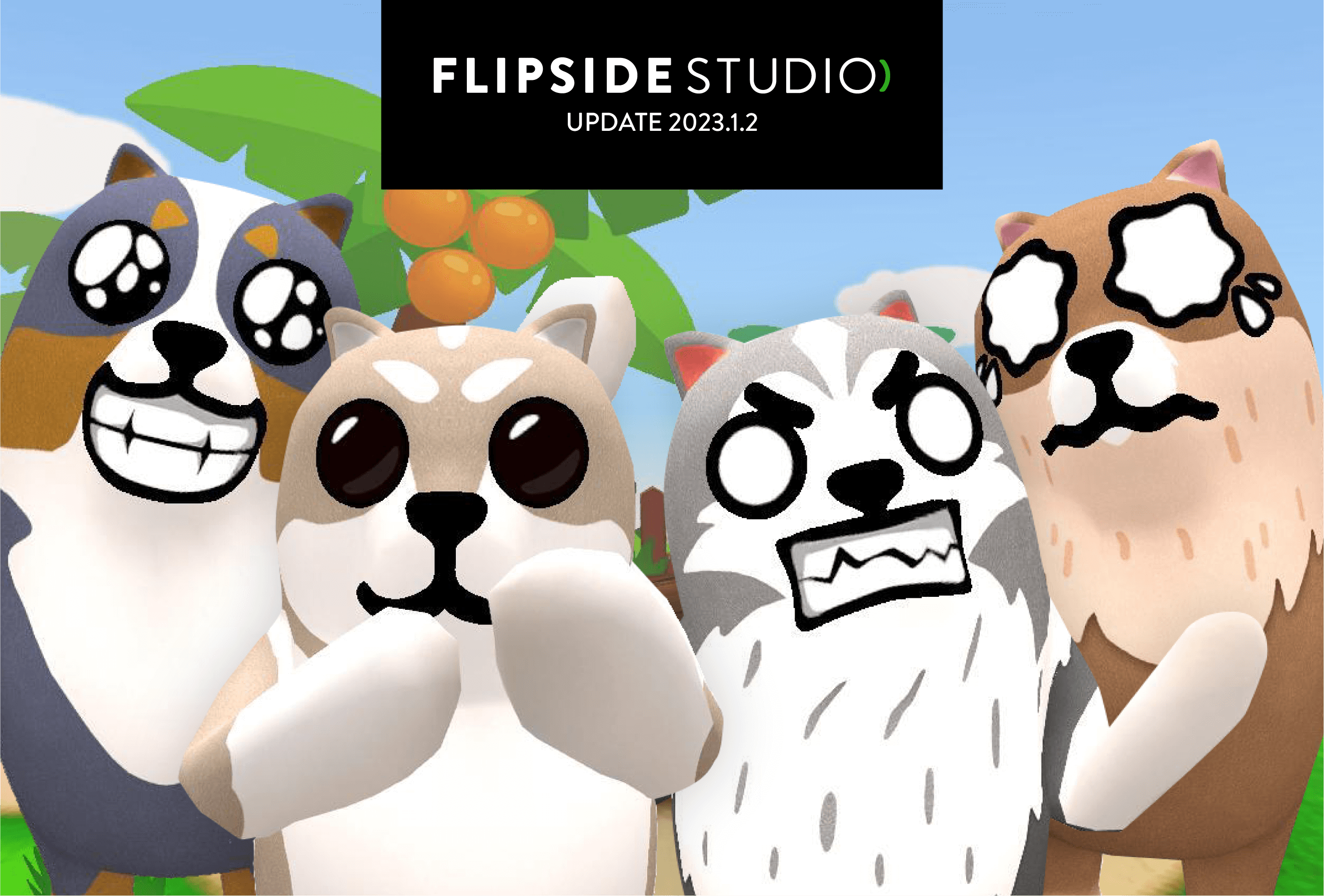 Flipside - Flipside Studio 2023.1.2